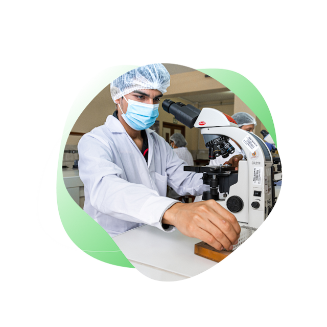 Beca - Doctorado en Ciencias Biológicas